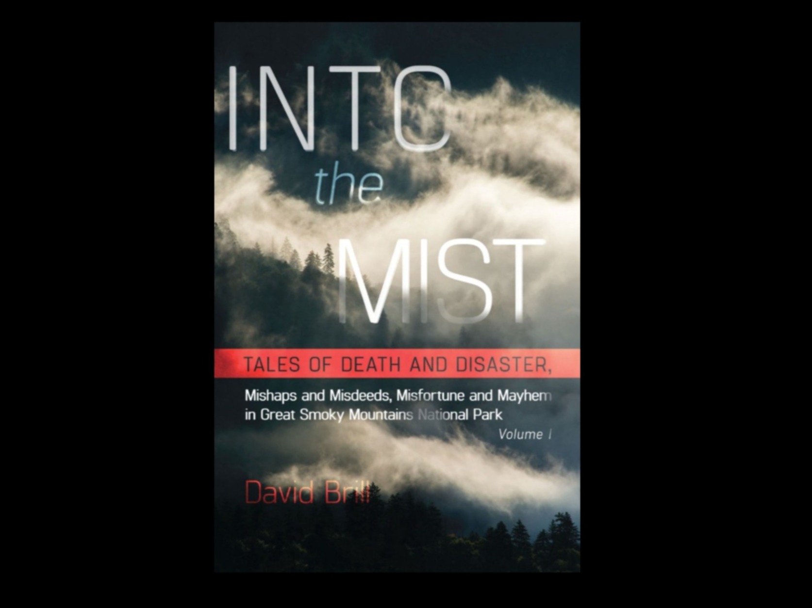 Into the Mist - nancy-east-books