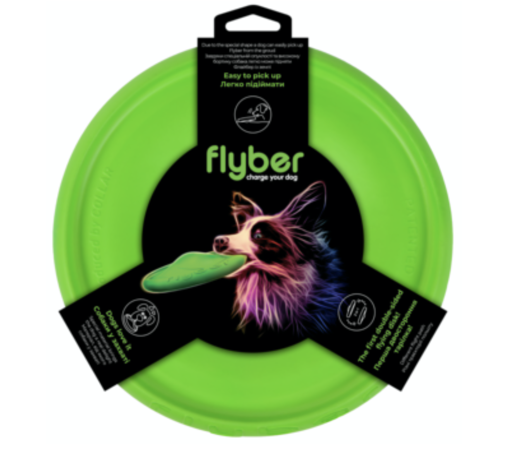 Frisbee Flyber