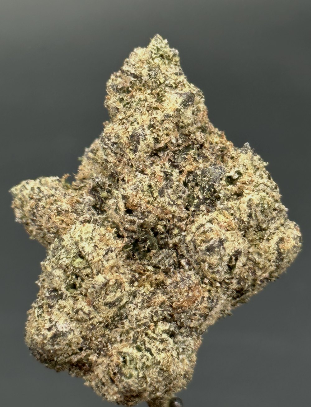 Specials - The Gas Station